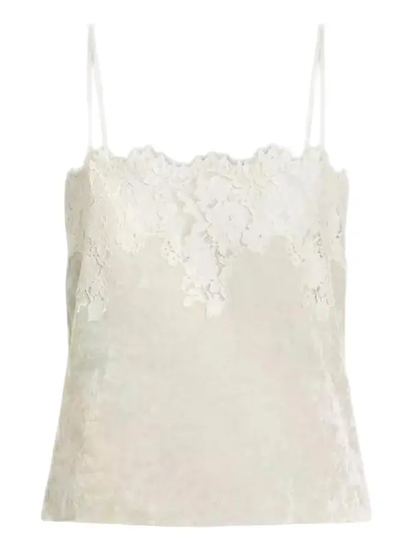 Alberta Ferretti Velvet Lace Trim Top - Neutrals