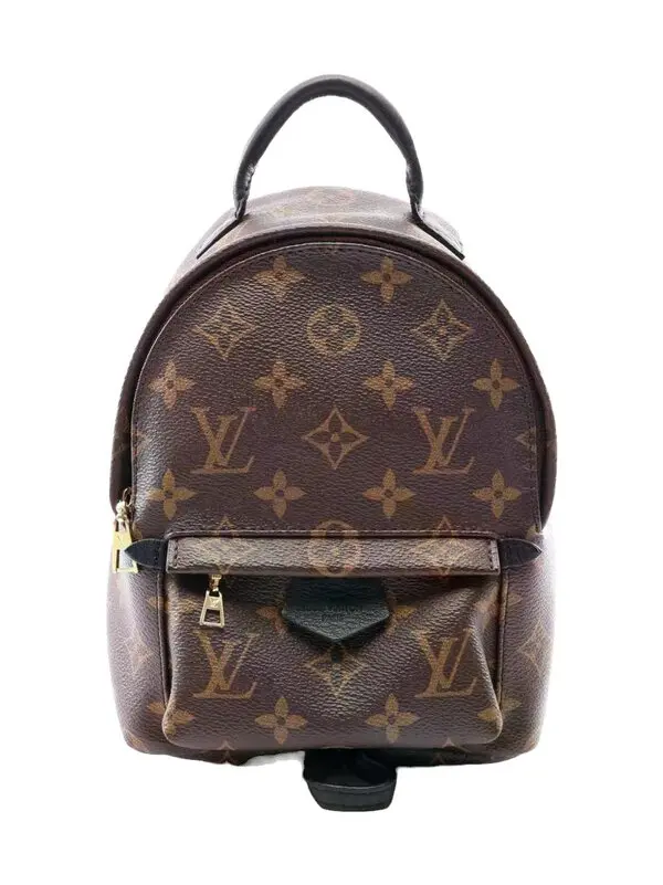 LOUIS VUITTON Mini Palm Springs Backpack - Brown
