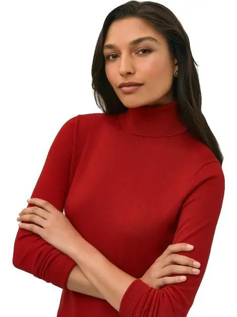 Brooks Brothers Merino Wool Turtleneck Sweater - Red