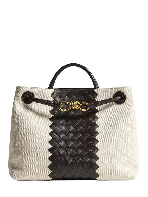 Bottega Veneta Andiamo Intrecciato Leather And Canvas Bag - Neutral