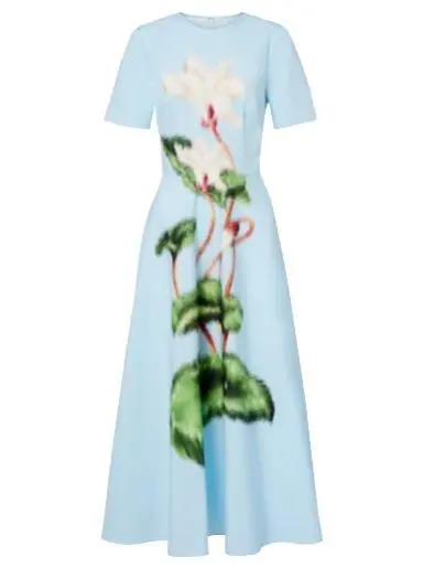 Oscar De La Renta Printed Cotton-blend Midi Dress - Blue