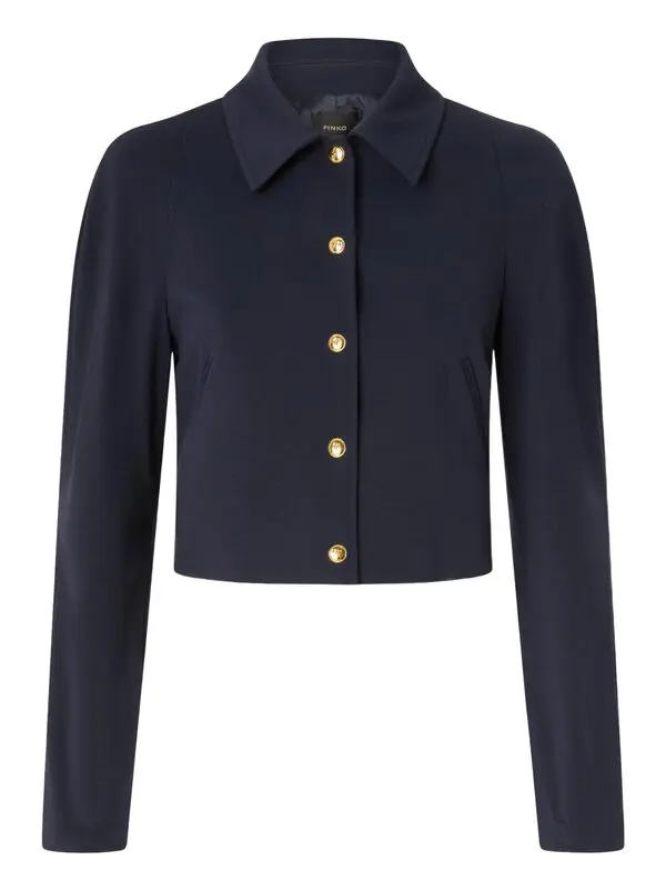 Pinko Cropped Button-fastening Jacket - Black
