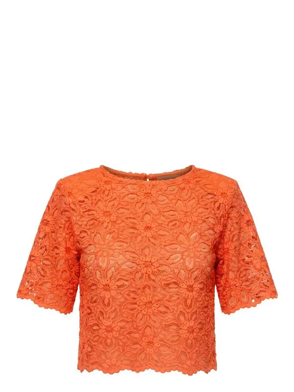 AGGI BY HALEWSKI Floral Lace Short Sleeve Blouse - Orange