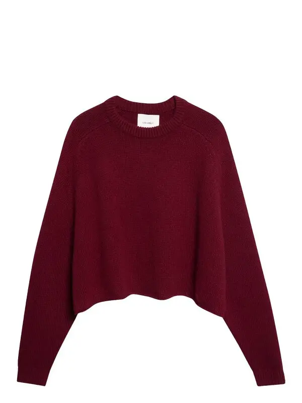 LISA YANG Oversize Raglan Sleeve Cashmere Sweater - Deep Plum