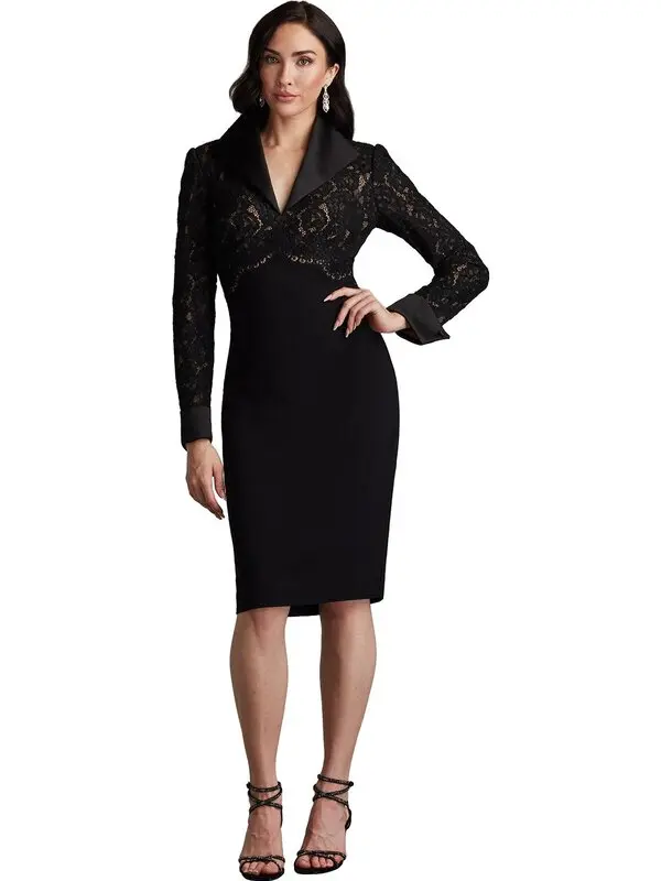 Tadashi Shoji Lace And Crepe Collar Dress - Black/nude
