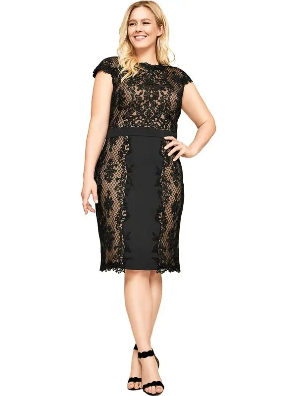 Tadashi Shoji Alexandra Embroidered Lace Dress - Black/nude