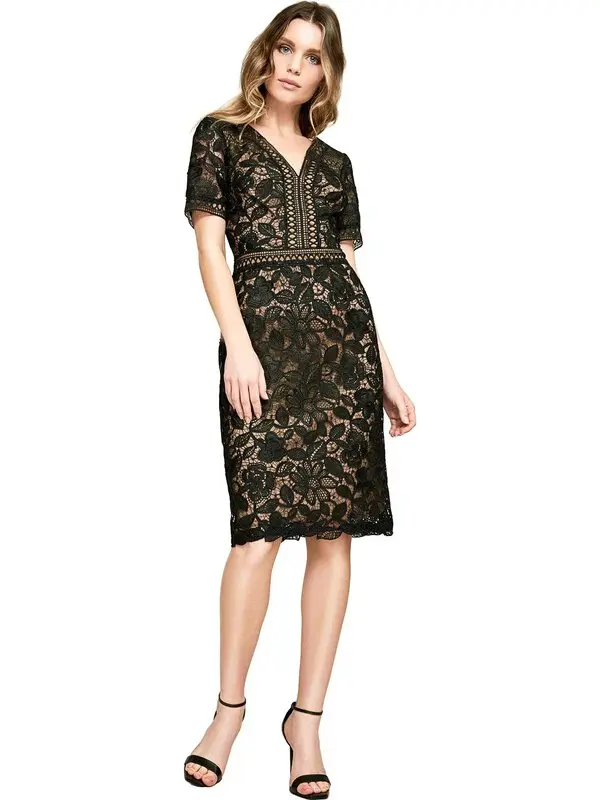 Tadashi Shoji Katelyn Lace Dress - Black/nude
