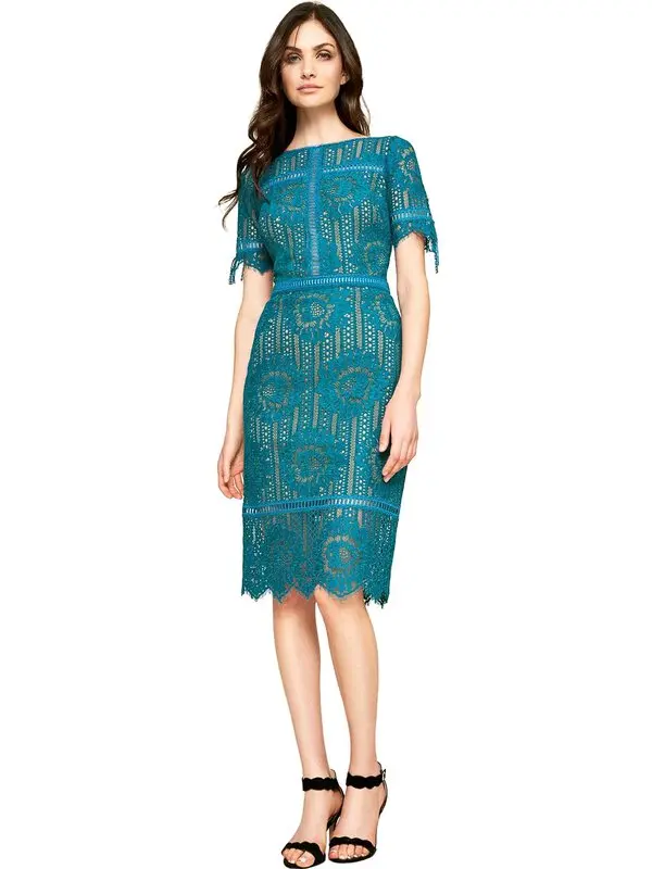 Tadashi Shoji Suma Lace Dress - Black/nude