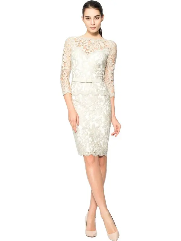 Tadashi Shoji Illusion Lace Three-quarter Sleeve Dress Petite - Feather
