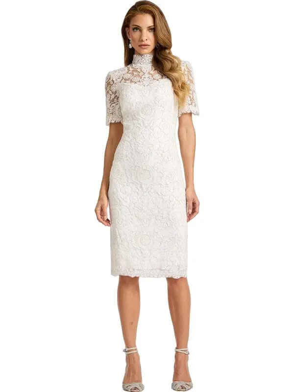Tadashi Shoji Sequined Embroidered Illusion Sheath Dress - Ivory