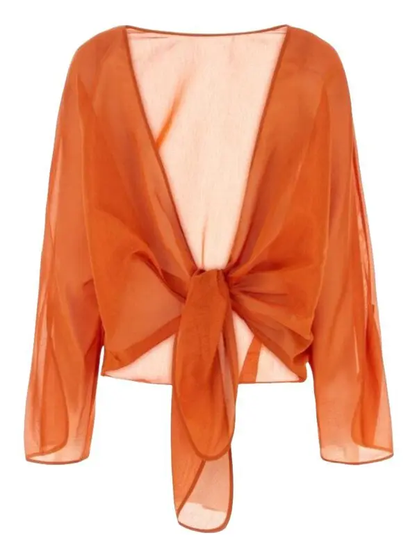Alberta Ferretti V-back Sheer Blouse - No