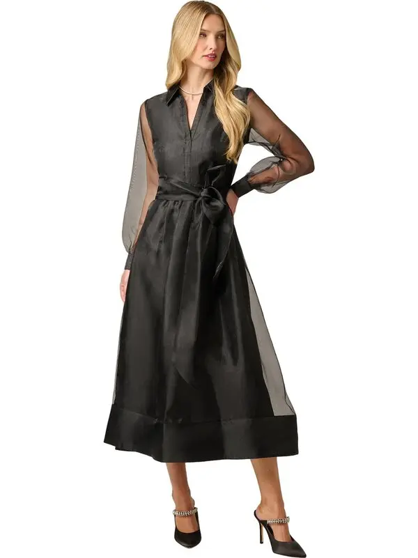 Adrianna Papell Long Sleeve Organza Midi Dress - Black