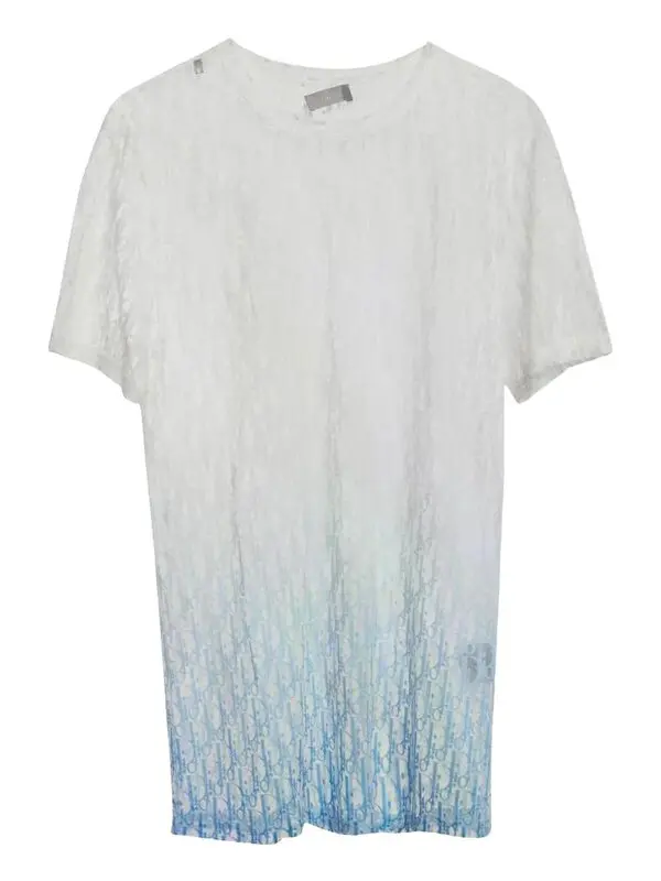 Dior Oblique Sheer T-shirt - White