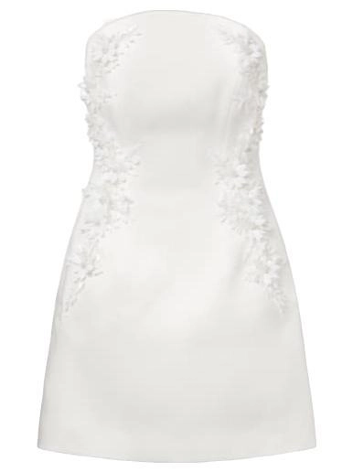 Rebecca Vallance Xanthe Floral Applique Strapless Mini Dress - White
