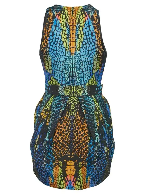 Alexander McQueen Graphic Print Mini Dress - Blue