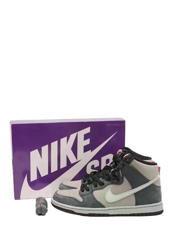 Nike Dunk Pro Sneakers - Grey