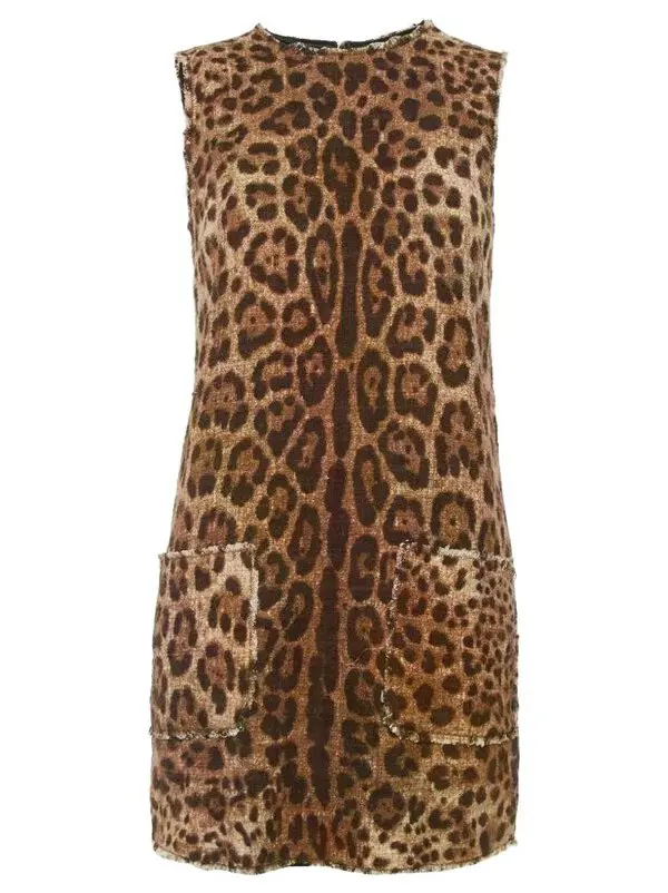 Dolce & Gabbana Leopard-print Mini Dress - Brown
