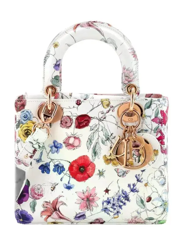 Dior Lady Bag - Multicolour