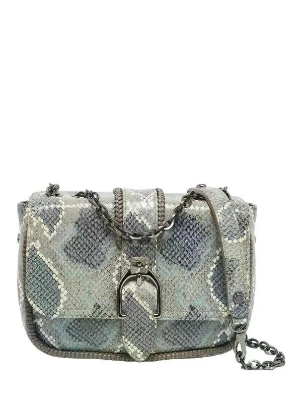 Longchamp Amazone Python-embossed Crossbody Bag - Grey