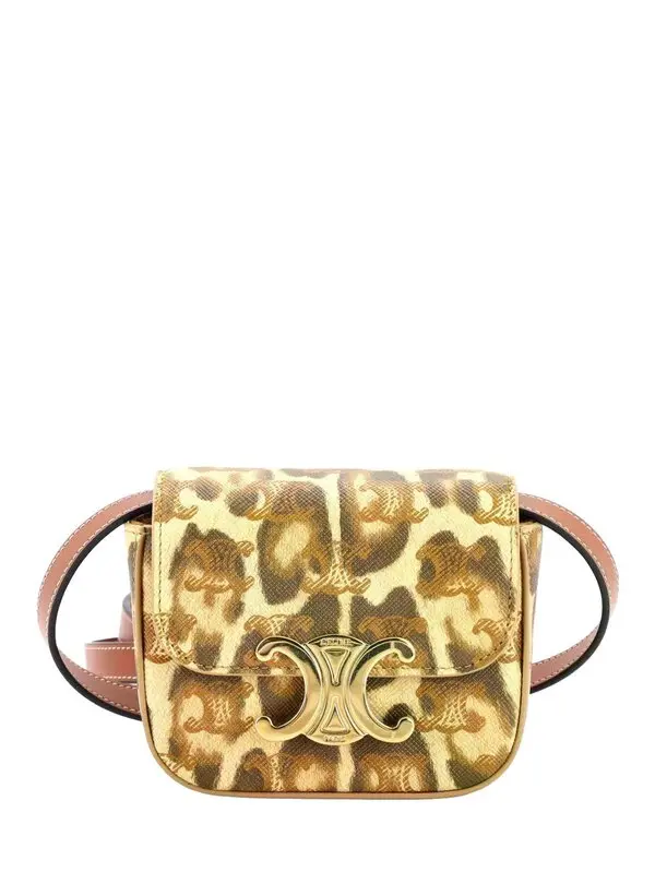 Celine Claude Printed Triomphe Coated Canvas Mini Shoulder Bag - Neutrals