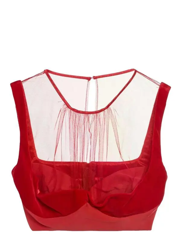 Elisabetta Franchi Velvet Crop Top With Tulle Panels - Red