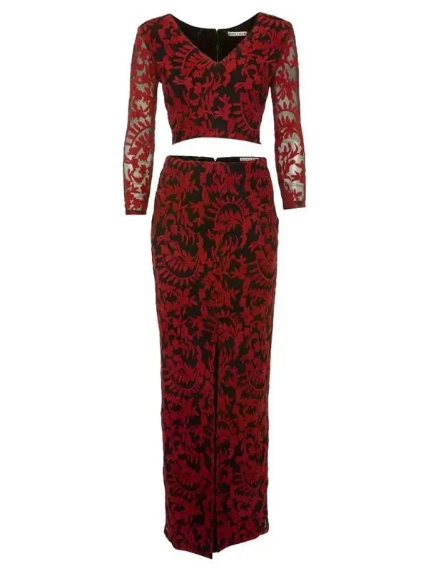 Alice + Olivia Embroidered Tulle Top And Skirt Set - Red