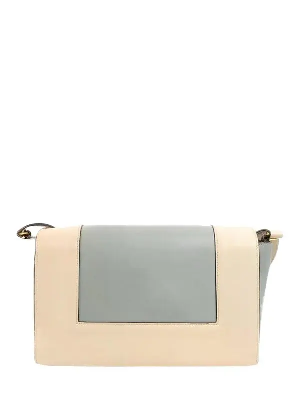 Celine Medium Frame Shoulder Bag - Neutrals