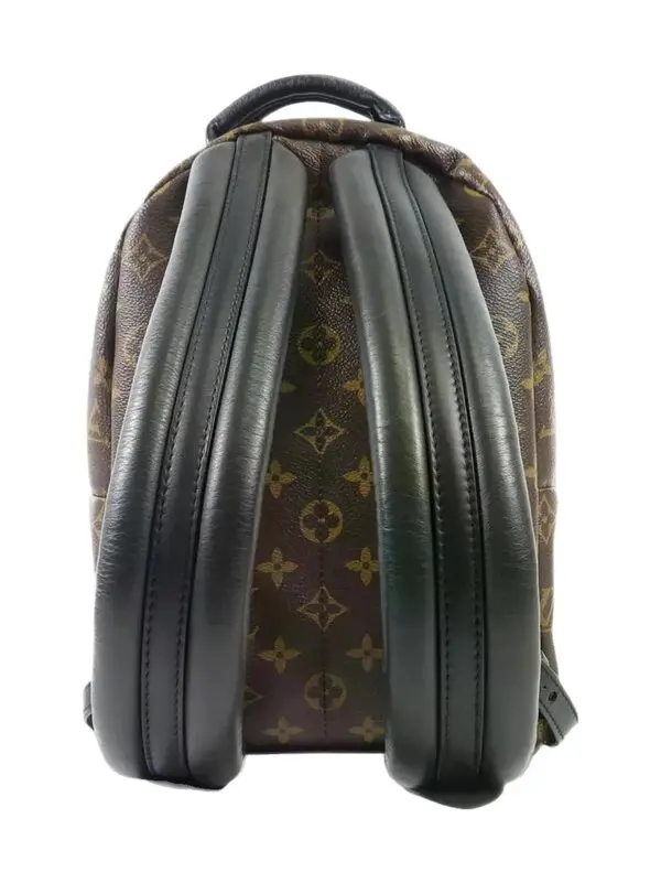 LOUIS VUITTON Palm Springs Monogram Backpack - Brown