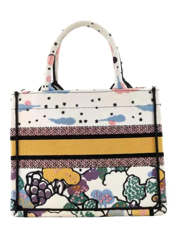 Dior Book Embroidered Canvas Small Tote Bag - Multicolour