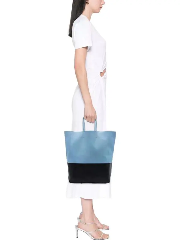 Celine Bicolor Leather Vertical Cabas Tote Bag - Blue