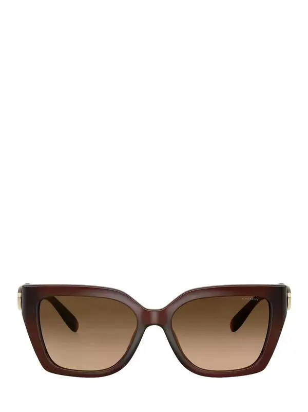COACH Cat-eye Sunglasses - Brown