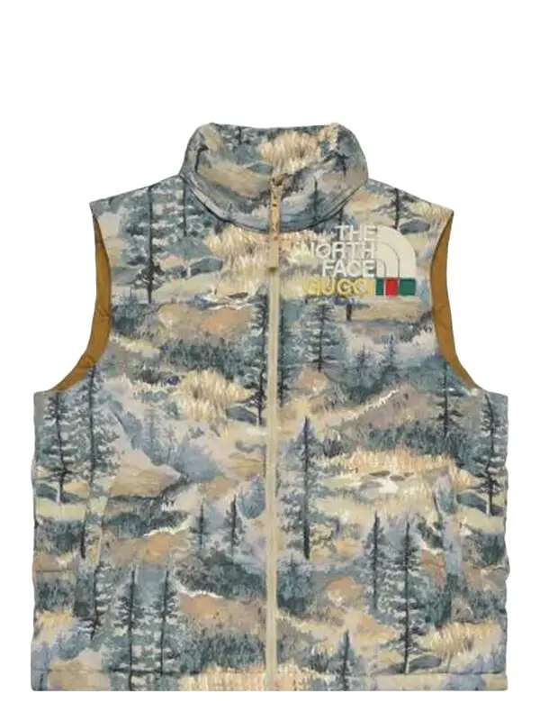 Gucci X The North Face Padded Vest - Brown