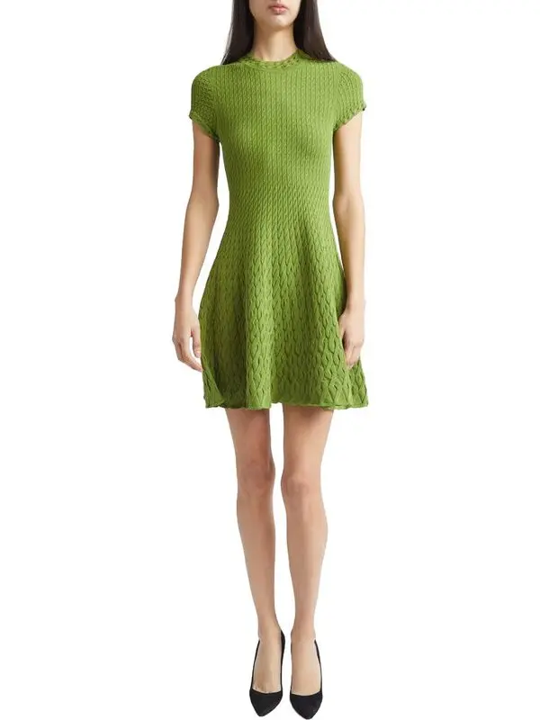 JASON WU Gradient Cable Knit Fit & Flare Sweater Dress - Peashoot