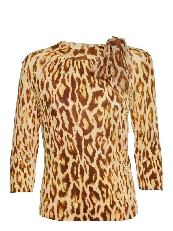 Dior Leopard Print Knitted Top - Brown