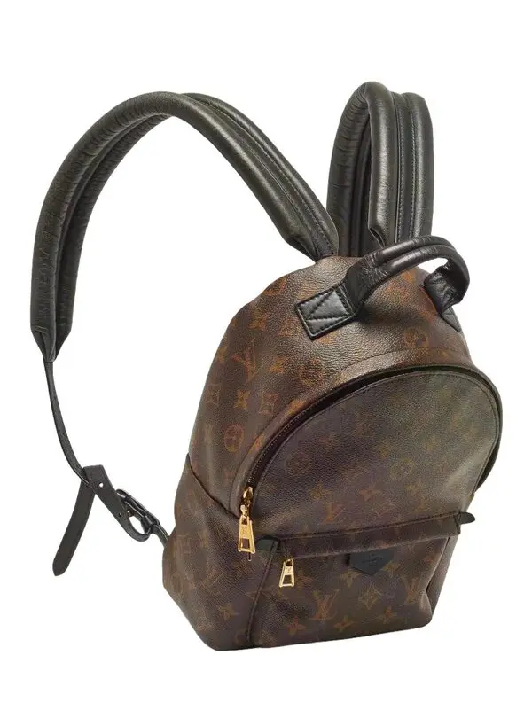 LOUIS VUITTON Palm Springs Backpack - Brown