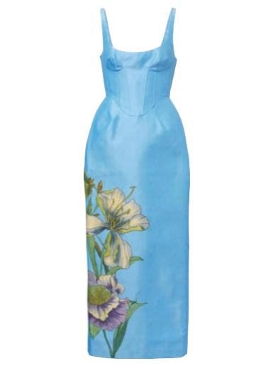 ALEMAIS Donata Floral Taffeta Bustier Dress - Blue