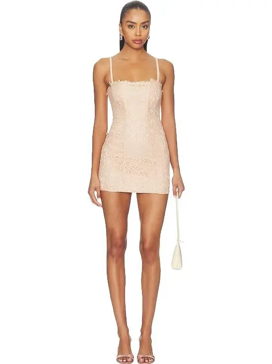 LOVERS AND FRIENDS Lace Mini Dress - Pink