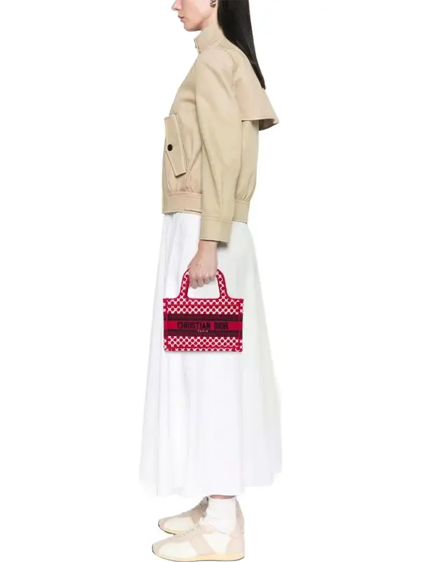 Dior 2020 Dioramour Mini Embroidered Canvas Book Tote Bag - Red