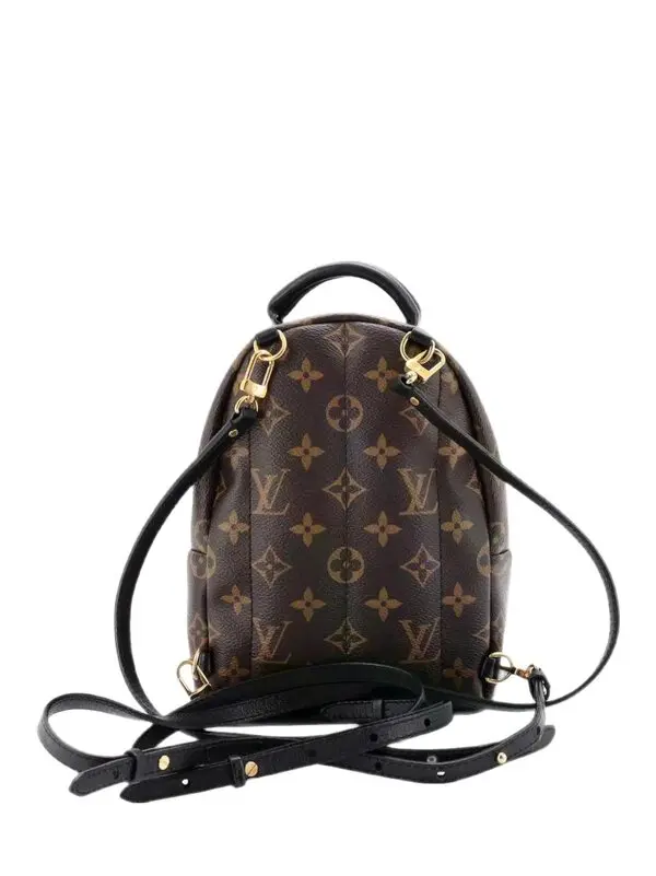 LOUIS VUITTON Palm Springs Monogram Canvas Mini Backpack - Brown