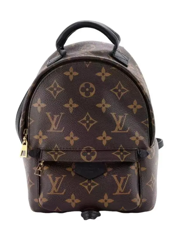 LOUIS VUITTON Palm Springs Monogram Canvas Mini Backpack - Brown