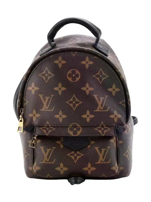 LOUIS VUITTON Palm Springs Monogram Canvas Mini Backpack - Brown