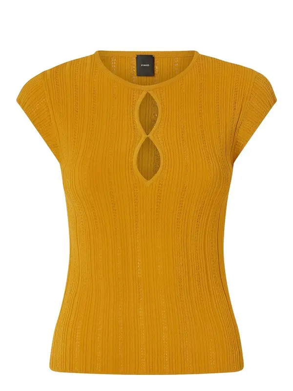 Pinko Ribbed Knit Top With Cut-out Detail - Brown