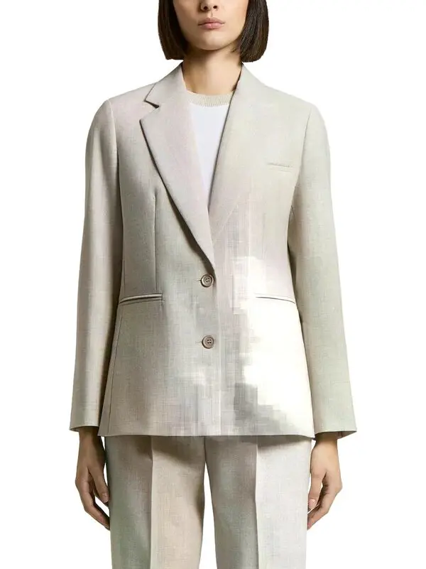 Peserico Single-breasted Notched Lapel Jacket - Neutrals