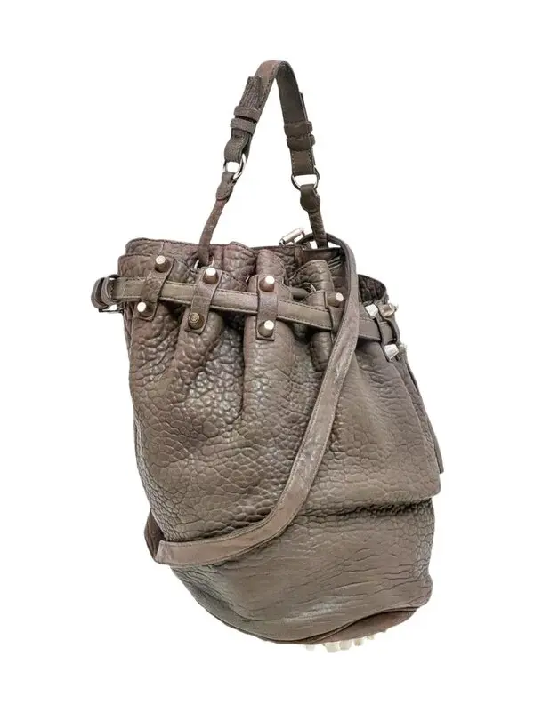 Alexander Wang Diego Calf Leather Bucket Bag - Brown