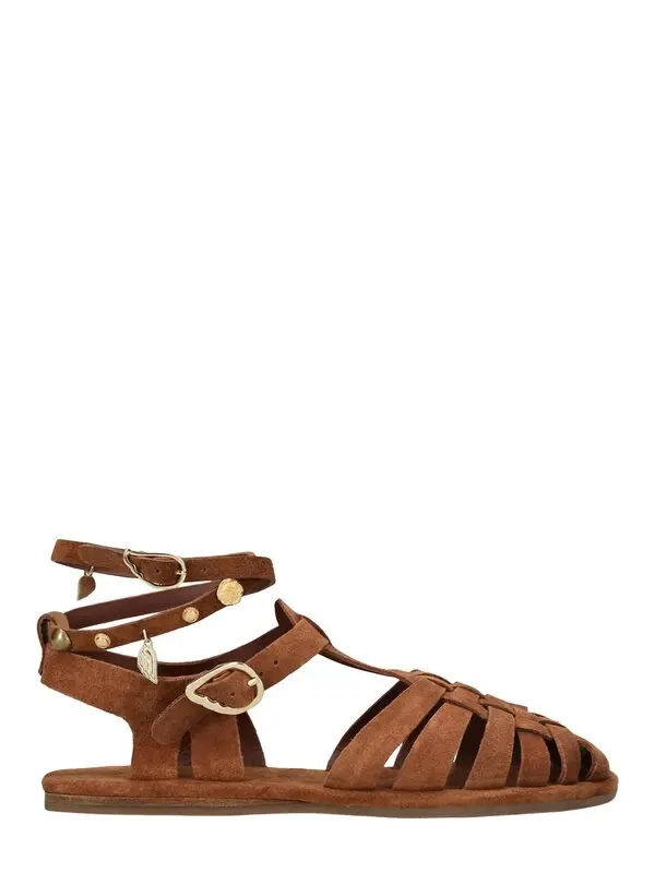 ANCIENT GREEK SANDALS Suede Karina Sandals - Brown
