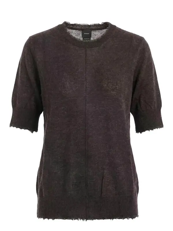 Pinko Short Sleeve Sweater - Brown