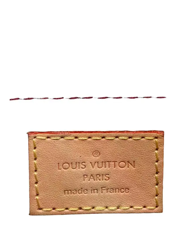 LOUIS VUITTON Monogram Montsouris Backpack - Brown