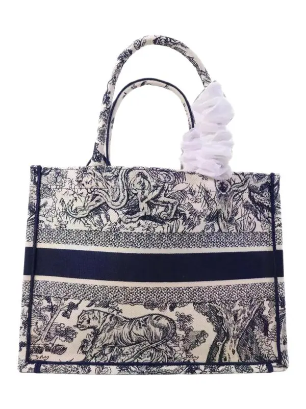 Dior Book Tote Bag - Neutrals