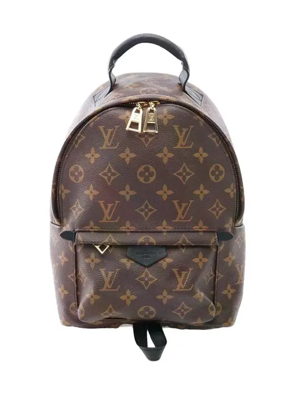 LOUIS VUITTON Monogram Palm Springs Pm Backpack - Brown