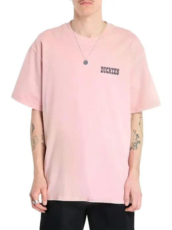 Dickies Buchtell Graphic-print T-shirt - Pink